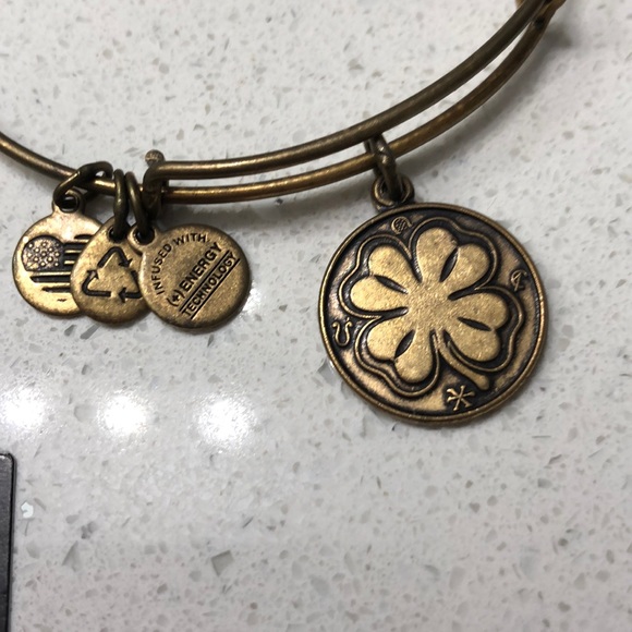 Alex and Ani | Jewelry | Alex And Ani Bracelet | Poshmark